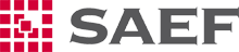 Piattaforma e-Learning SAEF